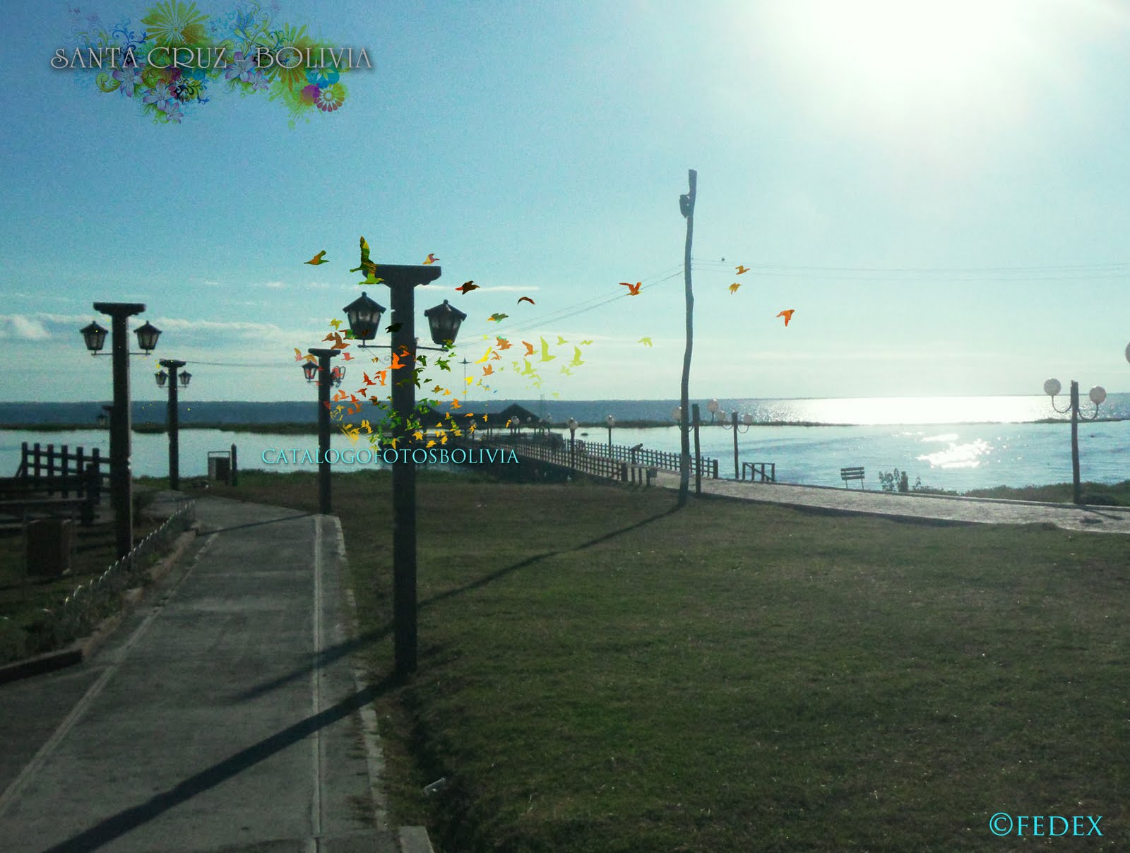 Catalogo de fotos Bolivia: Fotos: Puerto Quijarro Santa Cruz Bolivia