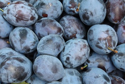 Iogurtes com Calda de Abrunhos e Licor Beirão
