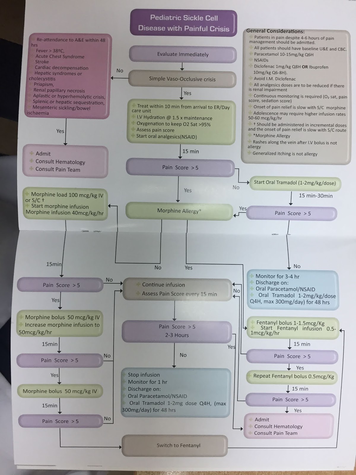 FLOW CHART FOR MANAGING SICKLE CELL CRISIS