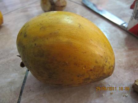 Sarawakiana@2: Buah Mentega