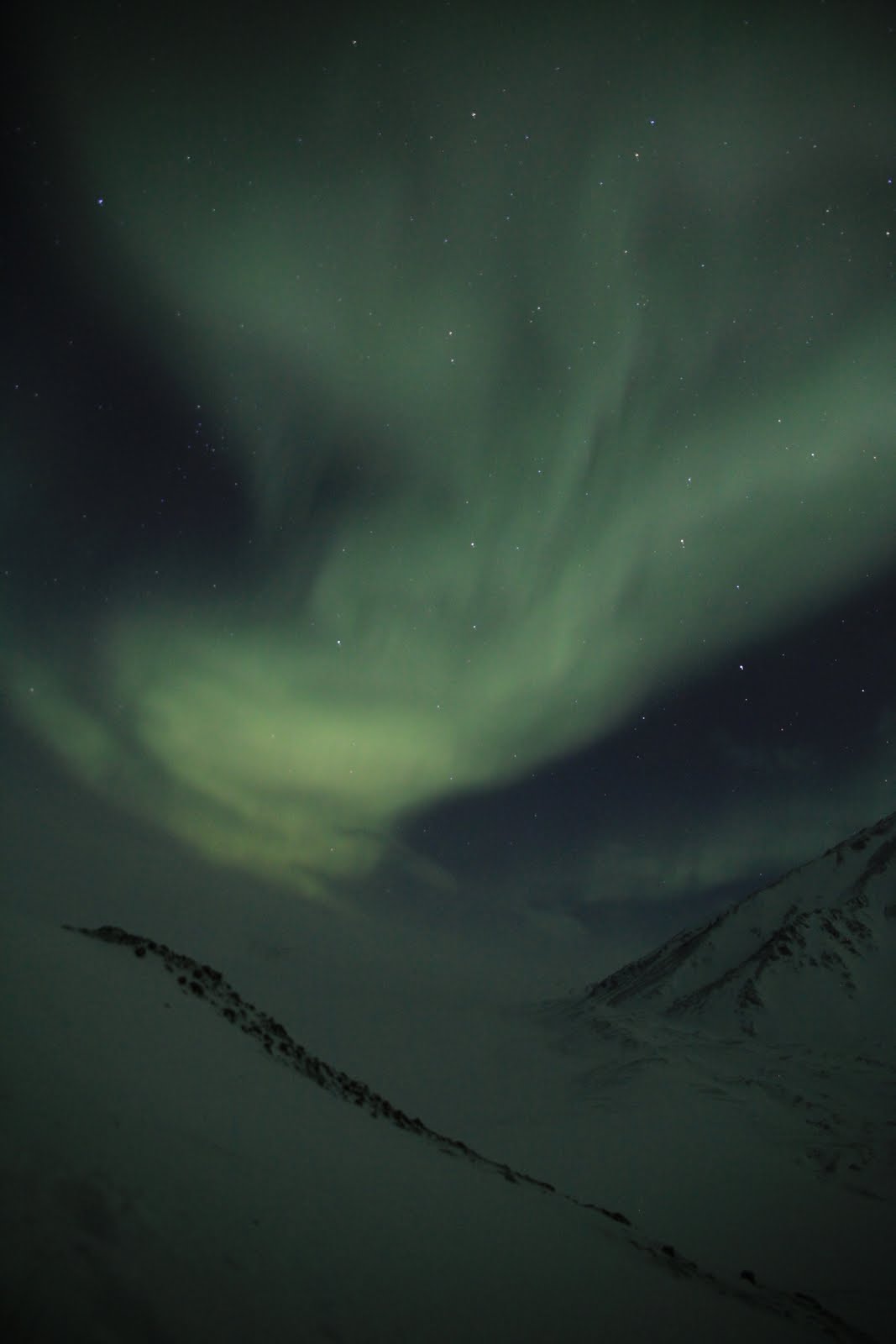 Svalbardliv: Aurora at Jensebu