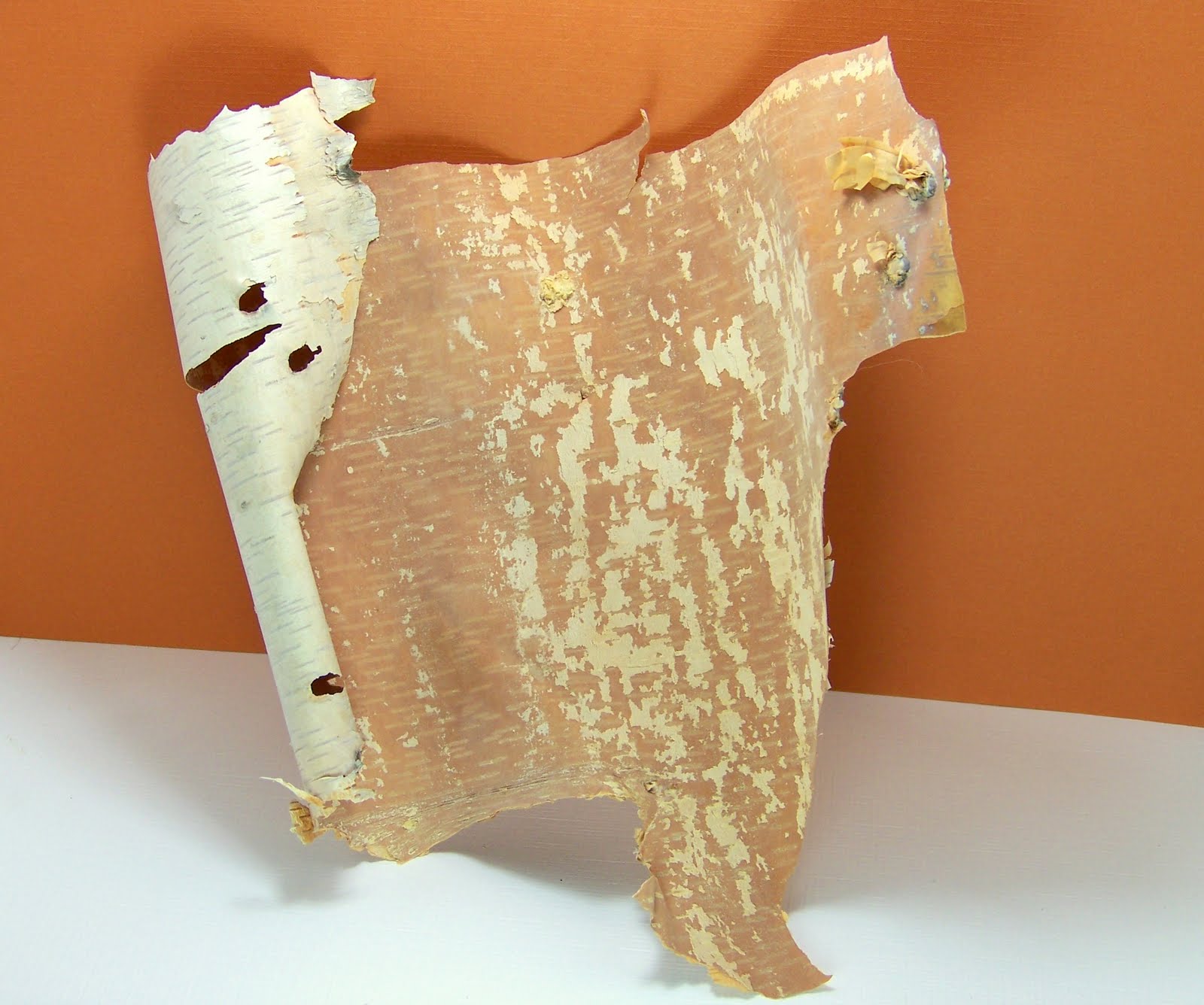 Curt's World: THE WEDNESDAY EVENING POST FOR JUNE 30, 2011