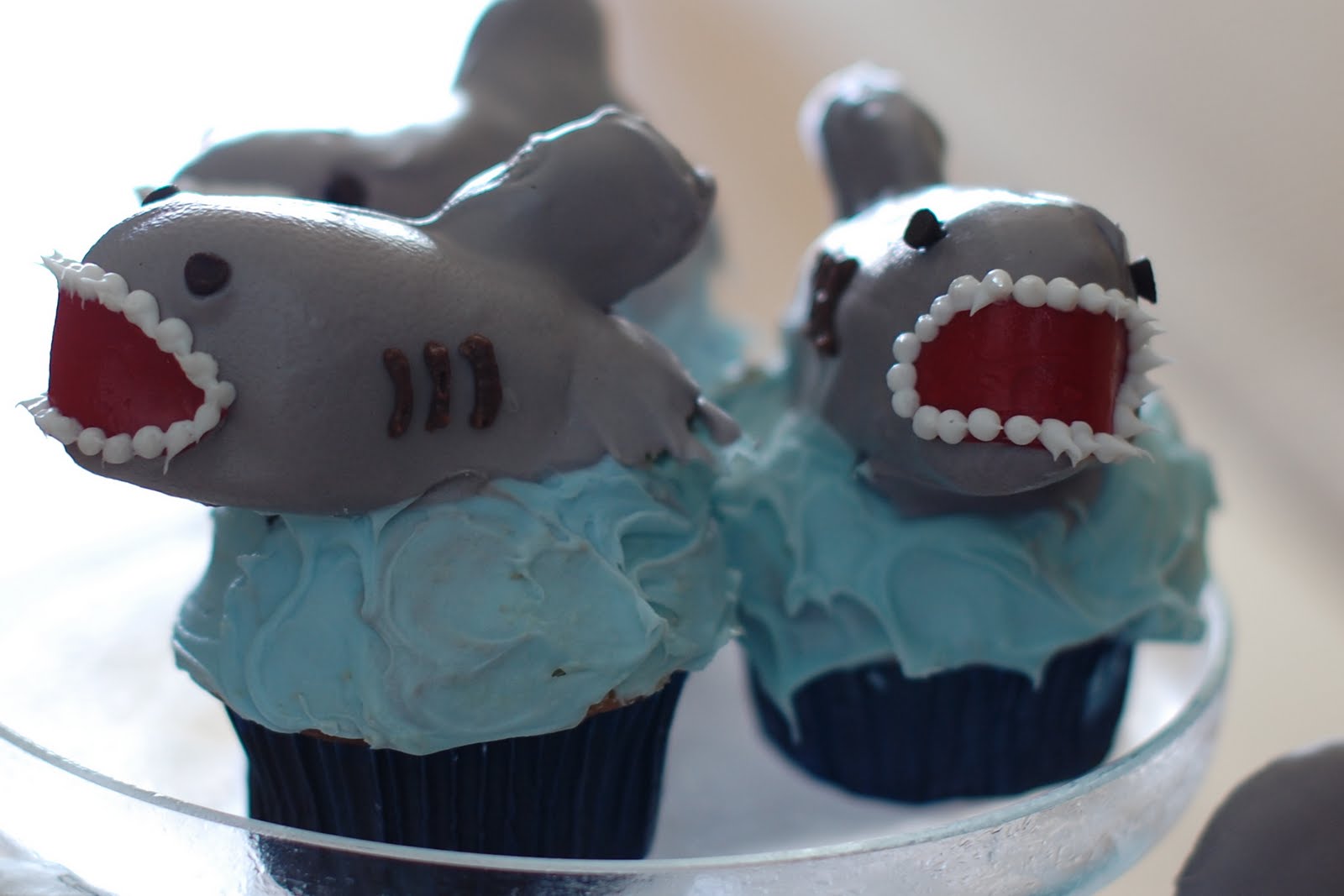 Beach Bash | A Small Snippet