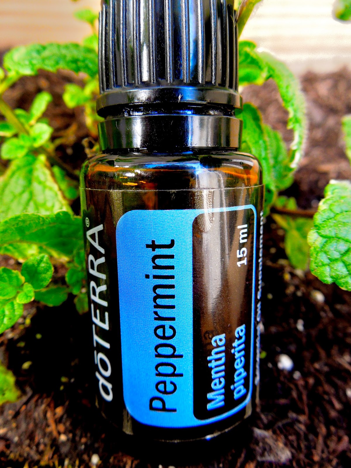 For The Love Of Home: 10 usos sorprendentes del Aceite Esencial de Menta