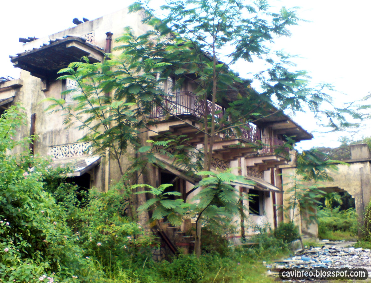 Entree Kibbles: Tyersall House (aka Istana Woodneuk) - An Unsuccessful ...