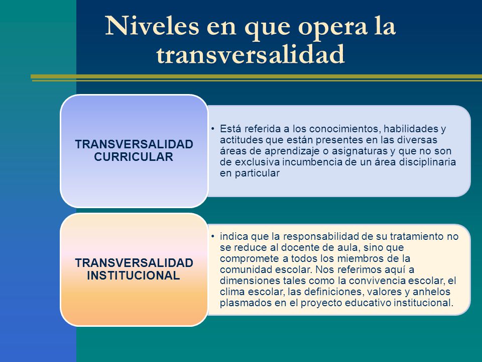 Practicum 2019: Transversalidad educativa
