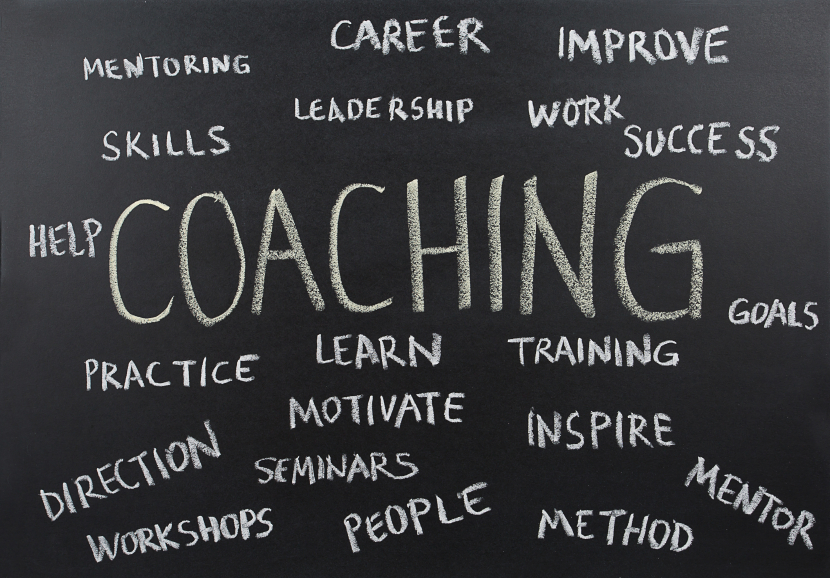 What Coaches Do To Drive Success