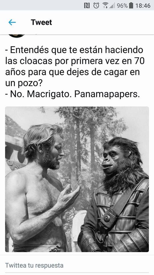 pensando la bronca: Pensa Simio Pensa