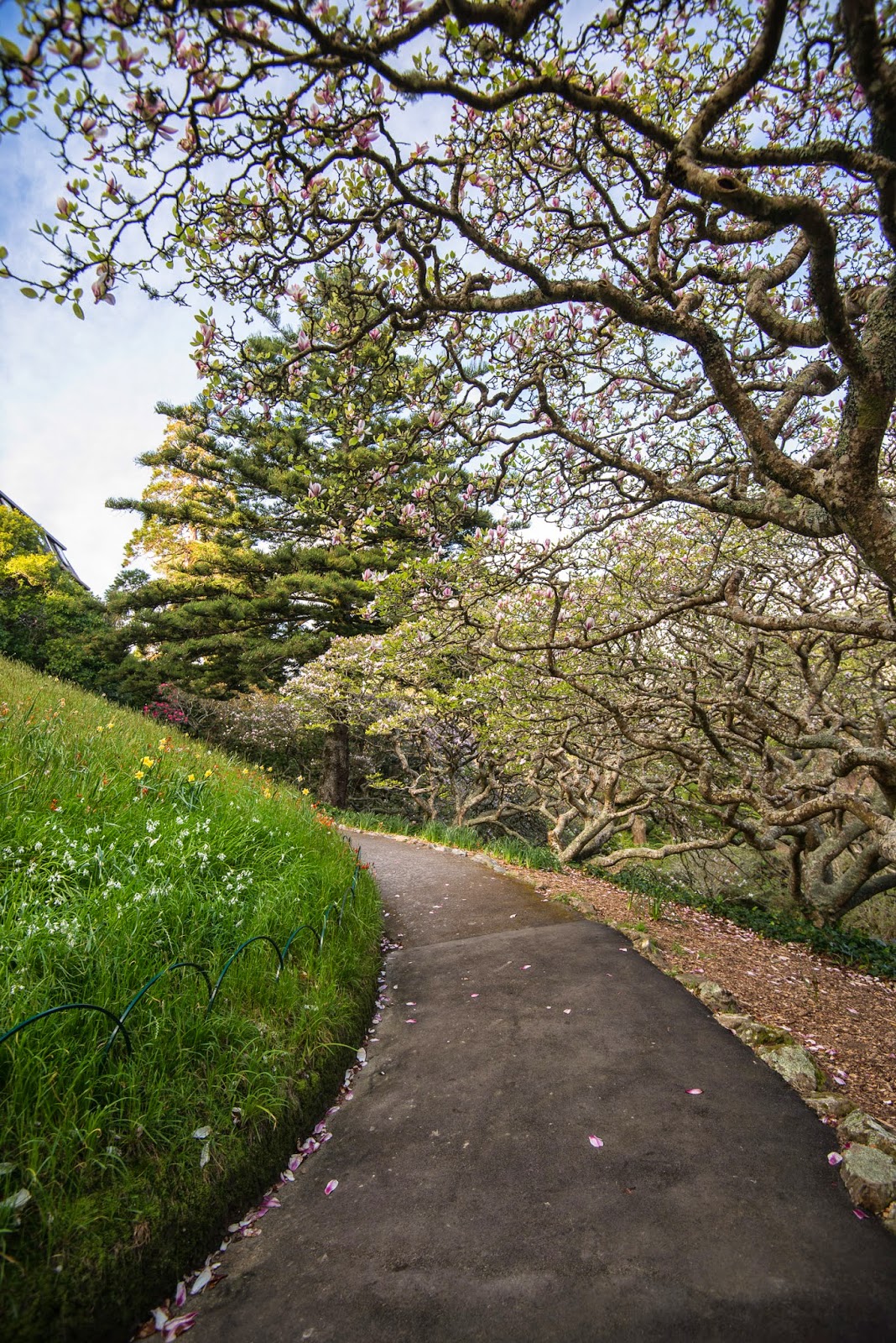 Spring comes to Wellington {landscape photography} | the adventures of MNMs