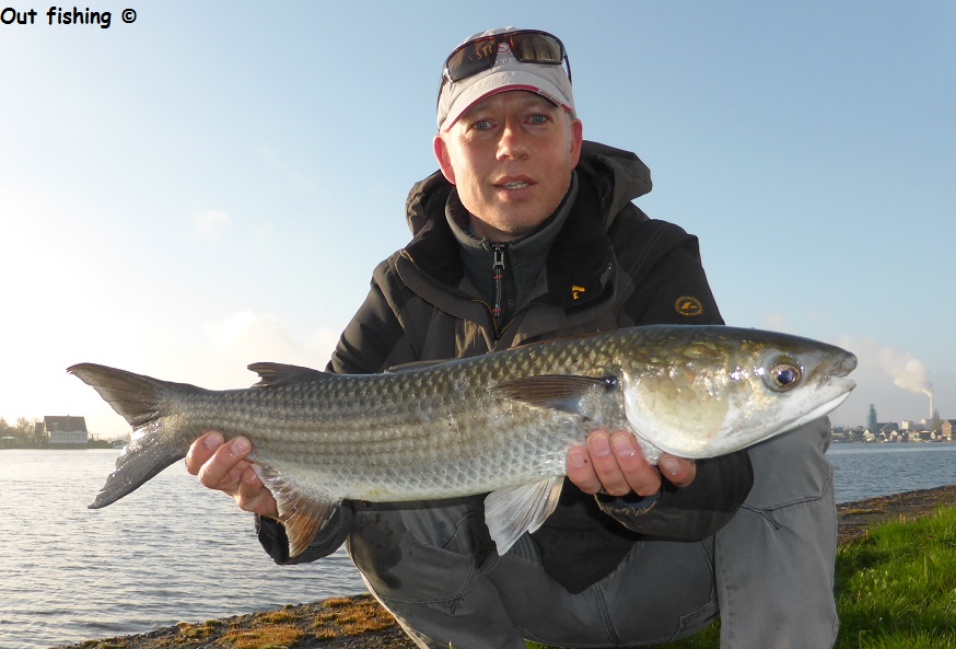 Out fishing: Harder dan ik hebben kan!