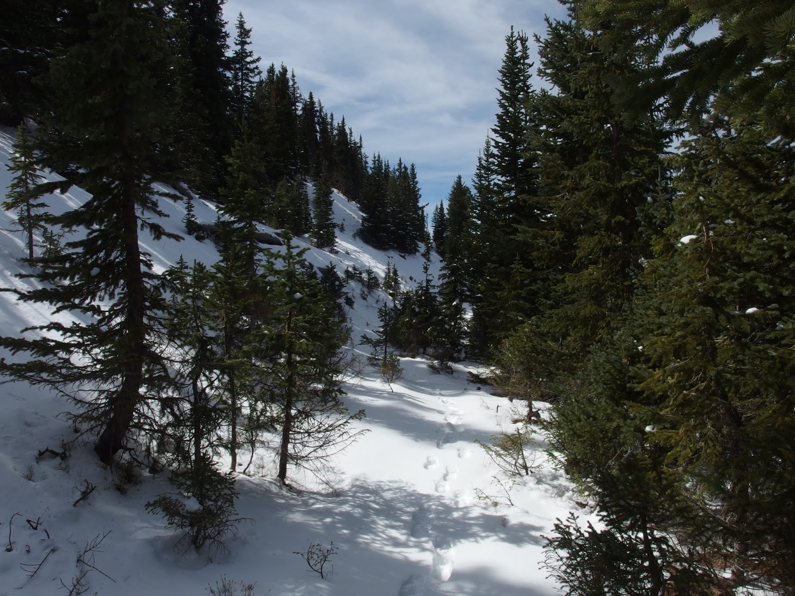 Hiking Rocky Mountain National Park: Hiking the Ute Trail.