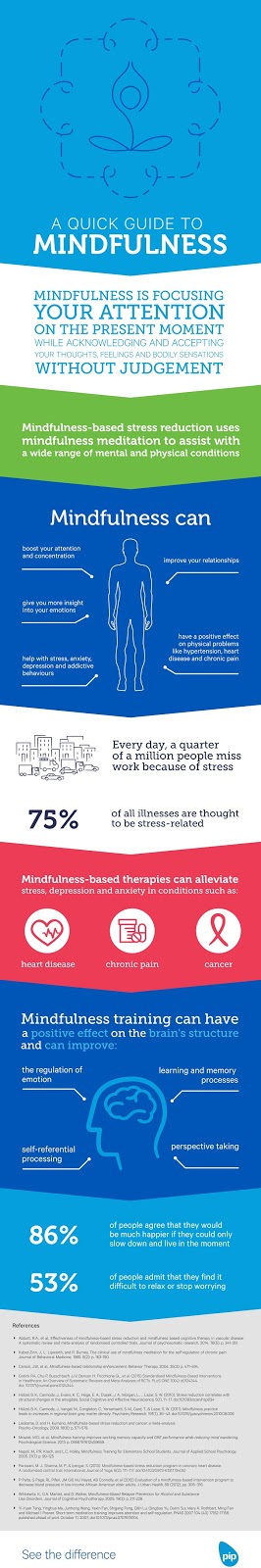 Craftaholic: Be in control of your stress with Pip