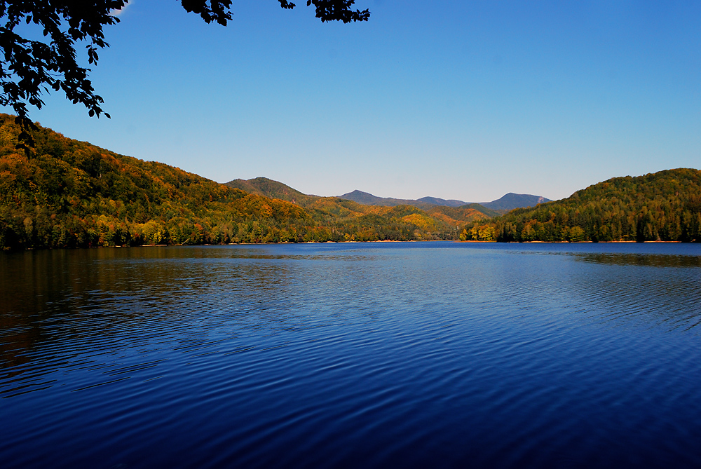 Delu Petru Damsa - Images: Lacul Baraj Firiza - Munții Gutin