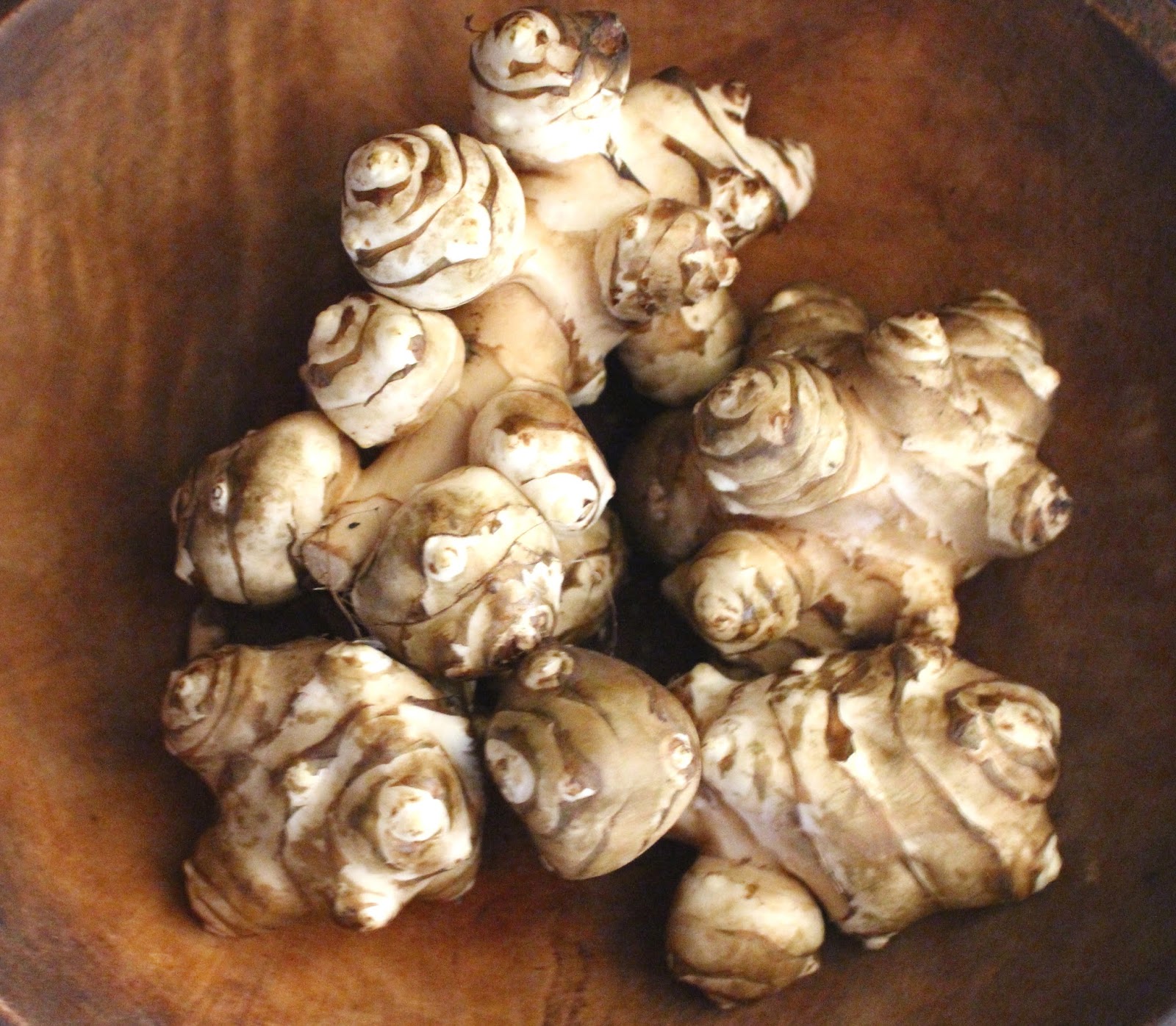 Harmony Valley Farm: Overwintered Sunchokes...A Vegetable With Unique ...