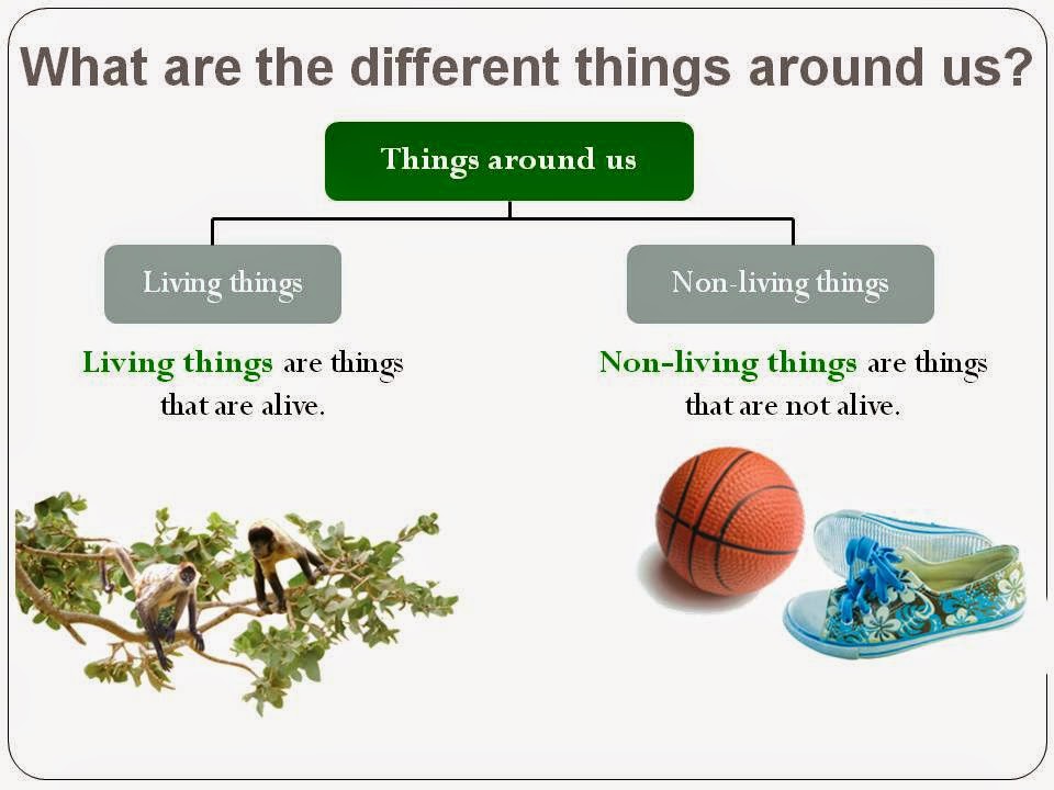 BGPS P3-1 2015: Characteristics of Living and Non-Living Things