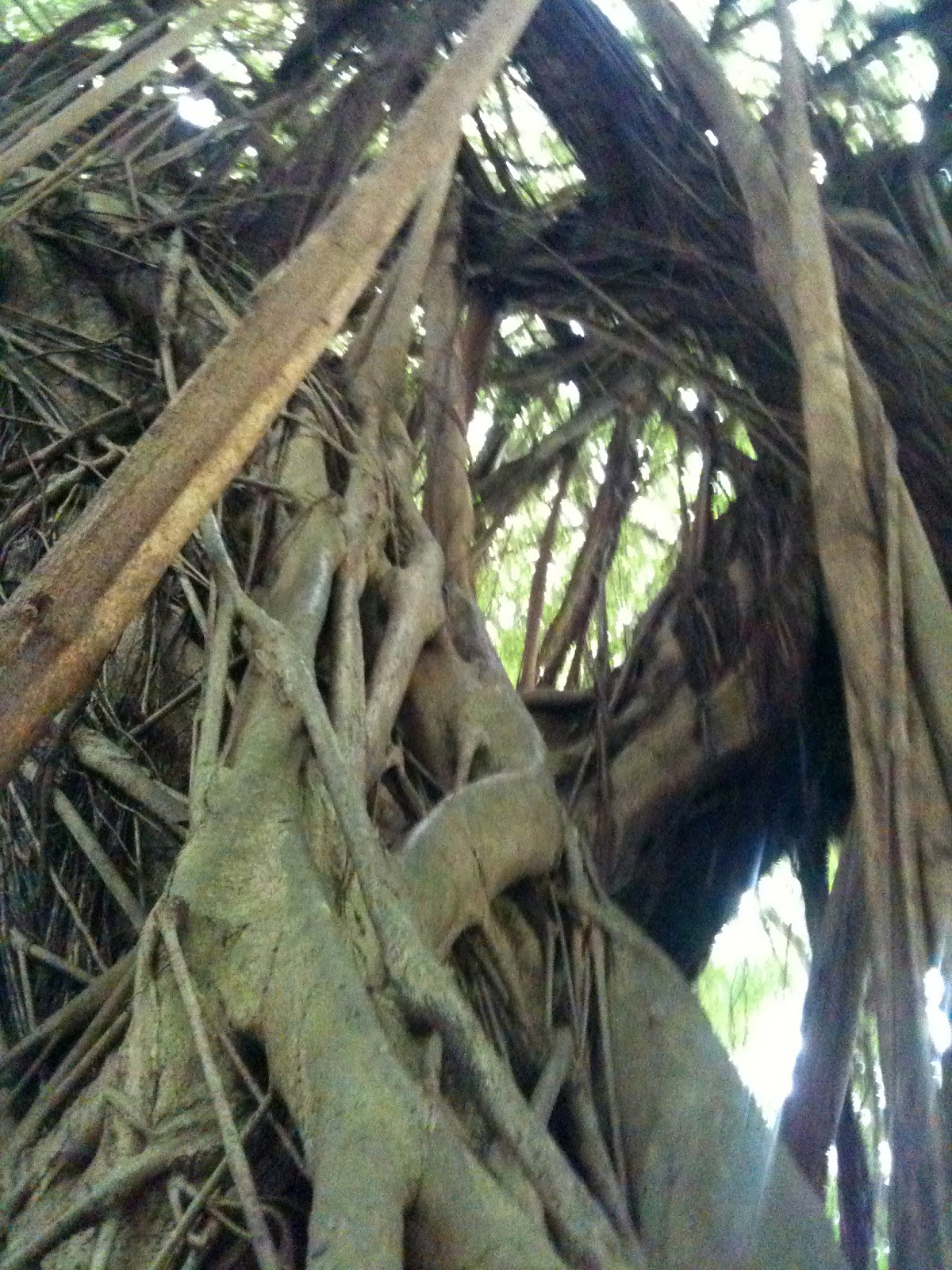 The Helpful Art Teacher: The elements of art and principles of design ...