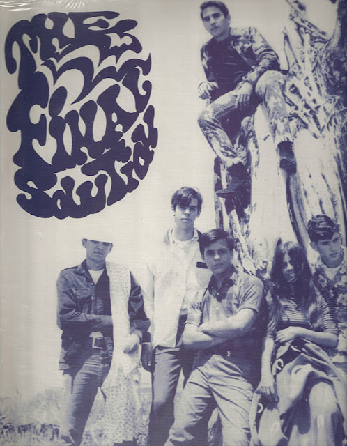 leaders of men: 60s Punk Rock style icons vol 1