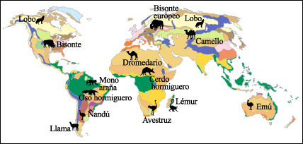 Evolucion biologica: Teorías de la evolución
