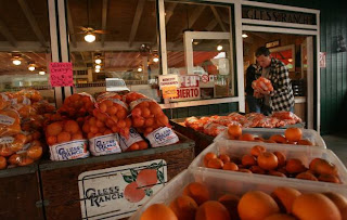 Environmental Science Girl