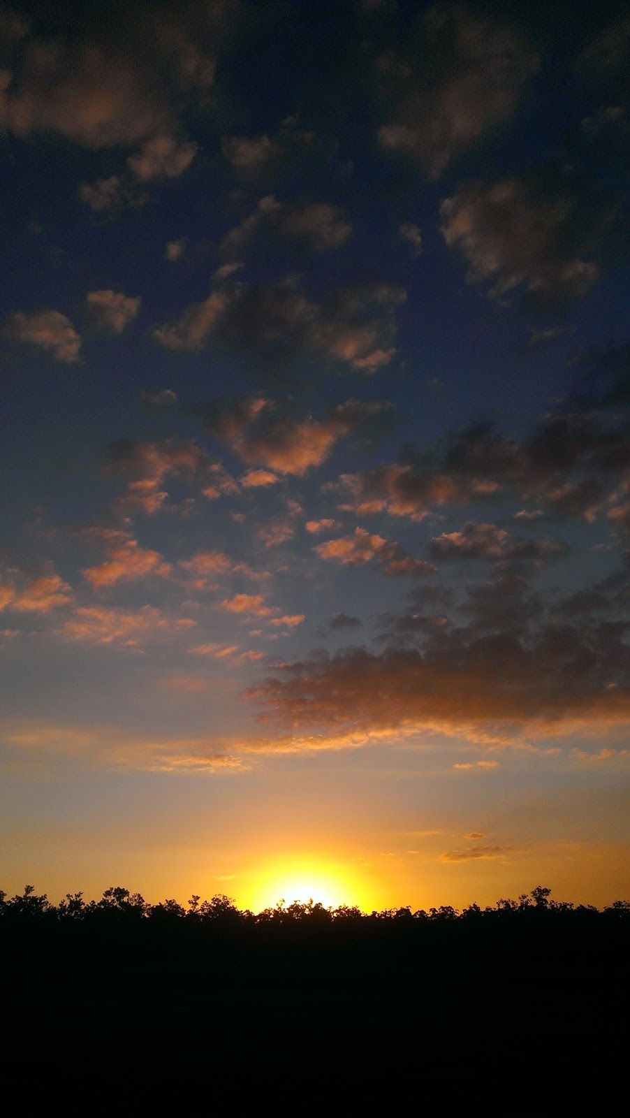 Bamaga - Cairns - Weipa.........