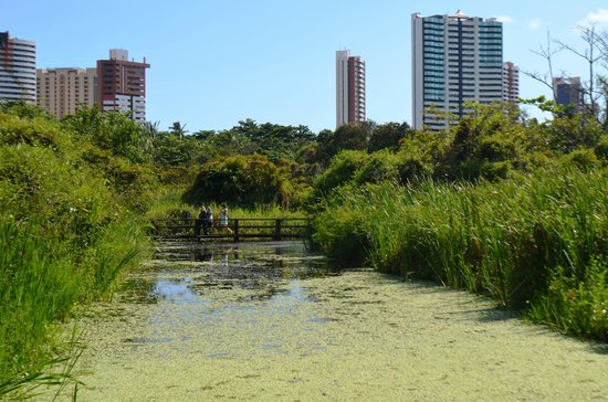 RW PAISAGISMO: PARQUE URBANO: PARQUE DO COCÓ, FORTALEZA