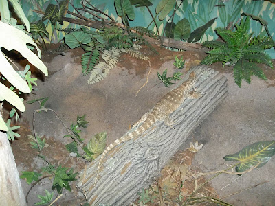 2 On the Road: Utah Field House of Natural History