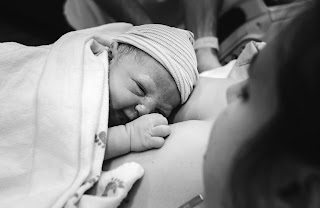 Life Diagrams Photography