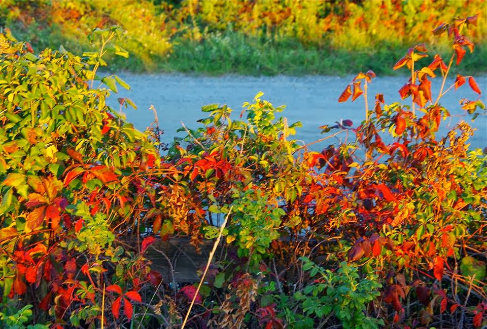 NY's Funniest Rabbi: Mah Rabu Ma'asechah Hashem