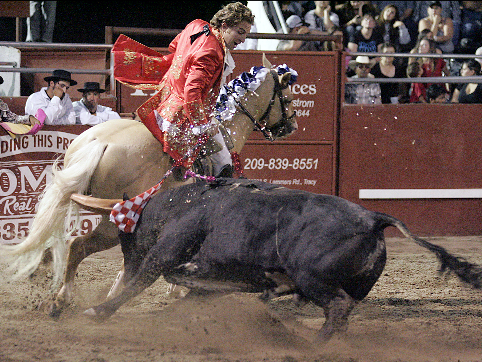 Snapshots: Raging bull