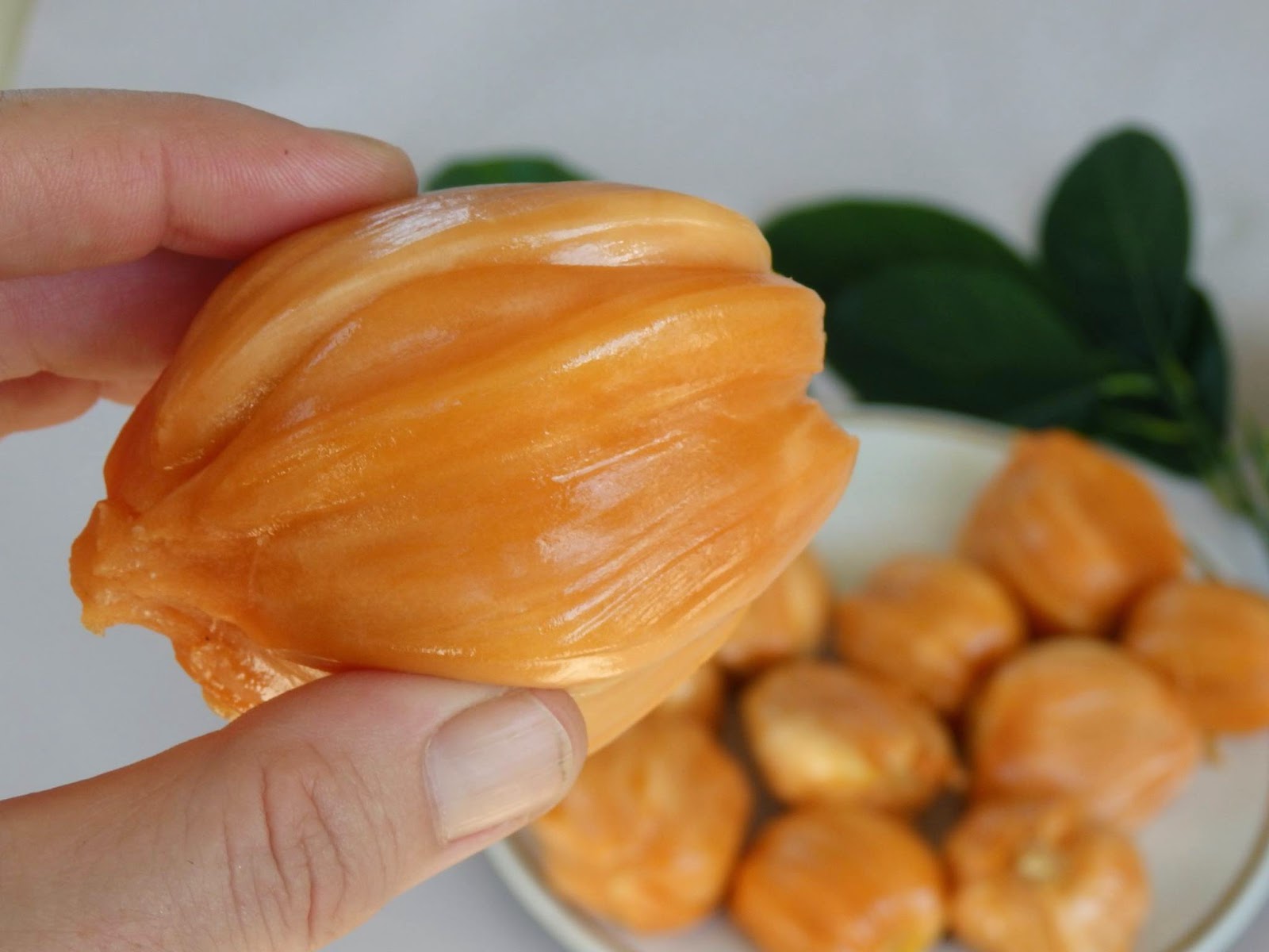Daleys Fruit Tree Blog: Jackfruit Crisp Orange Tree - Fast becoming my ...