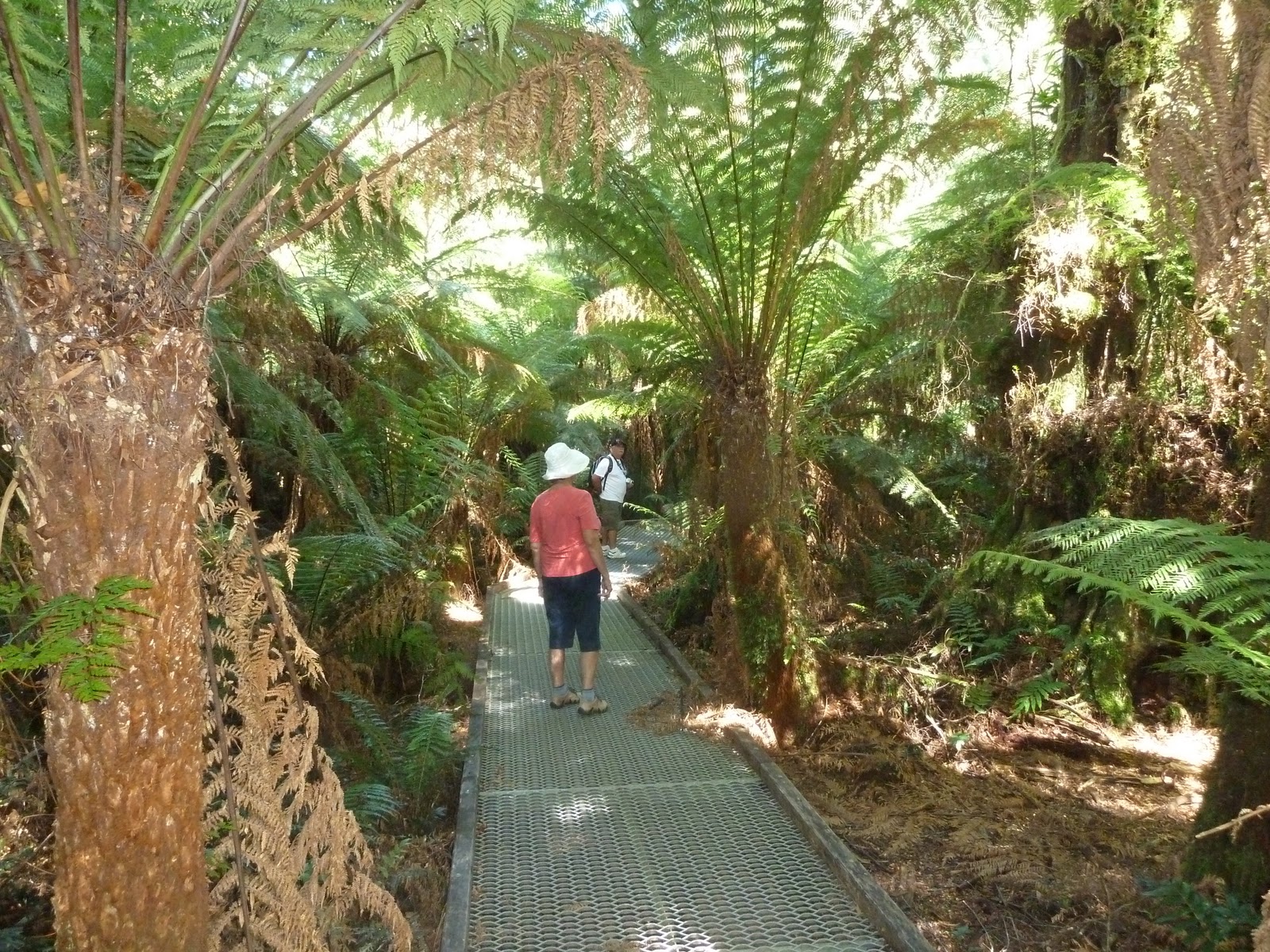 Great Ocean Road Trip - 2011: Apollo Bay and the Otway National Park
