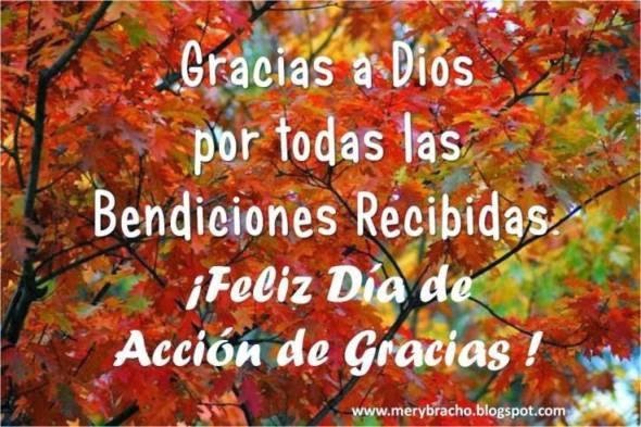 DESDE MI RINCÓN PERSONAL: Dando gracias hoy y siempre.