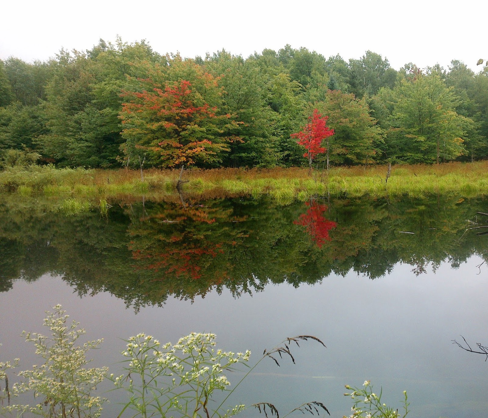 Heart and Sole: Early Fall in the North Woods