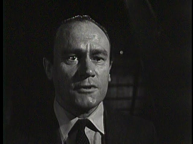 Guy Becker's Instagram, Twitter & Facebook on IDCrawl