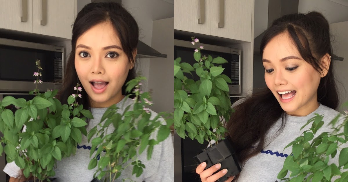 How to: Regrow Supermarket Herbs at Home 🍃 | Nirada