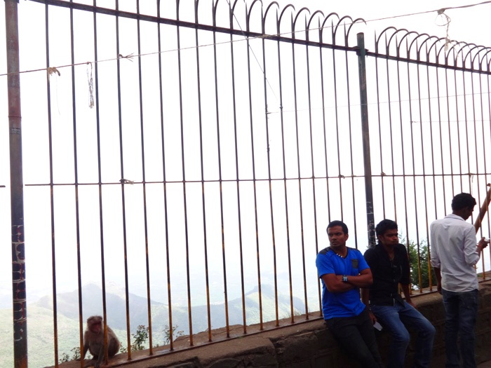 Tamilnadu Tourism: Green Valley View, Kodaikanal