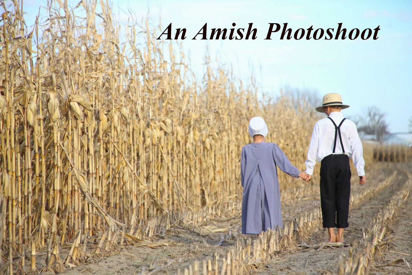 It's a Beautiful Life!: An Amish Photoshoot