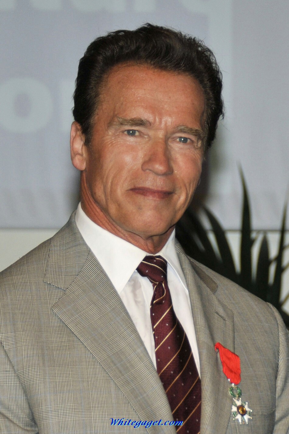 I Was Here.: Arnold Schwarzenegger