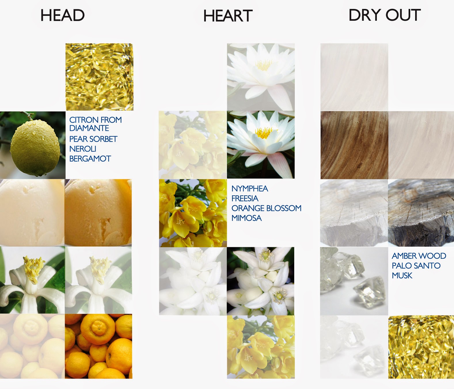 Fragrance 101: The Fragrance Pyramid (Part 3) - T On Things