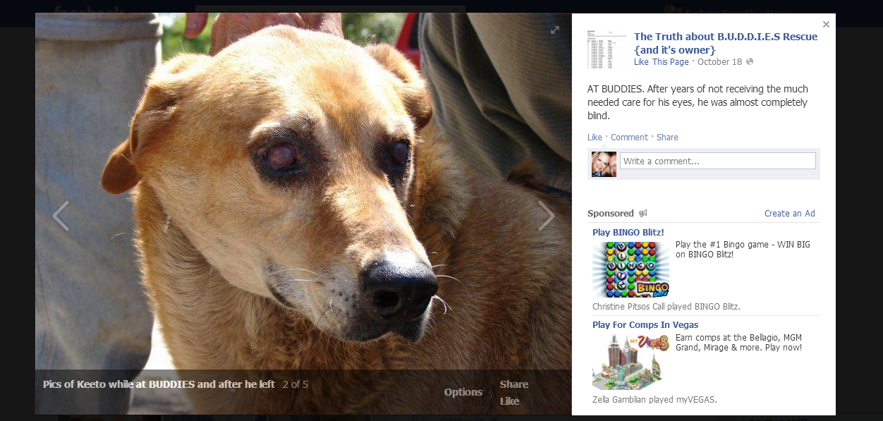 Rescue Hall Of Shame: B.U.D.D.I.E.S Rescue Keith Wandell