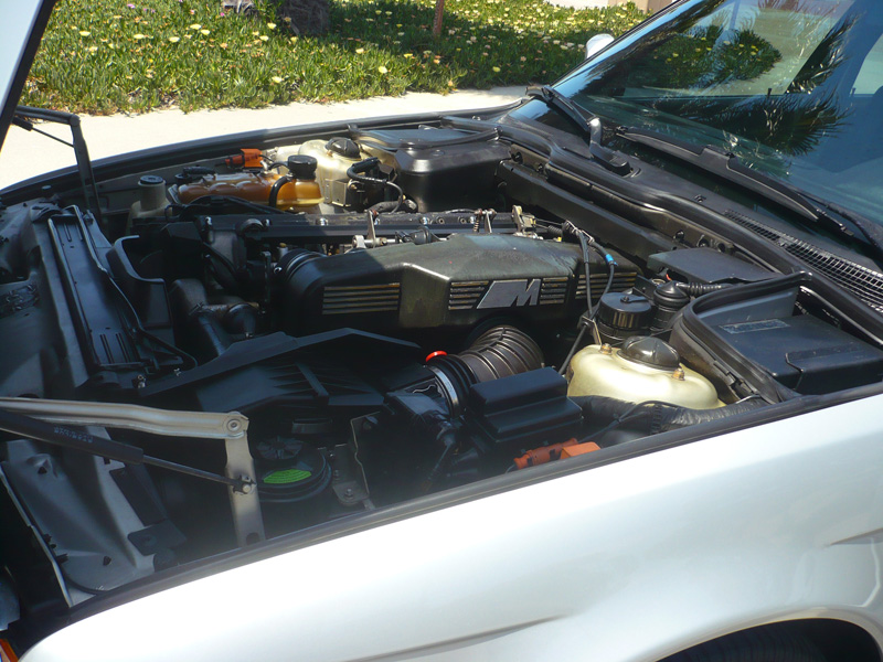 My 1991 BMW E34 M5: BMW M5 S38 Race Engine