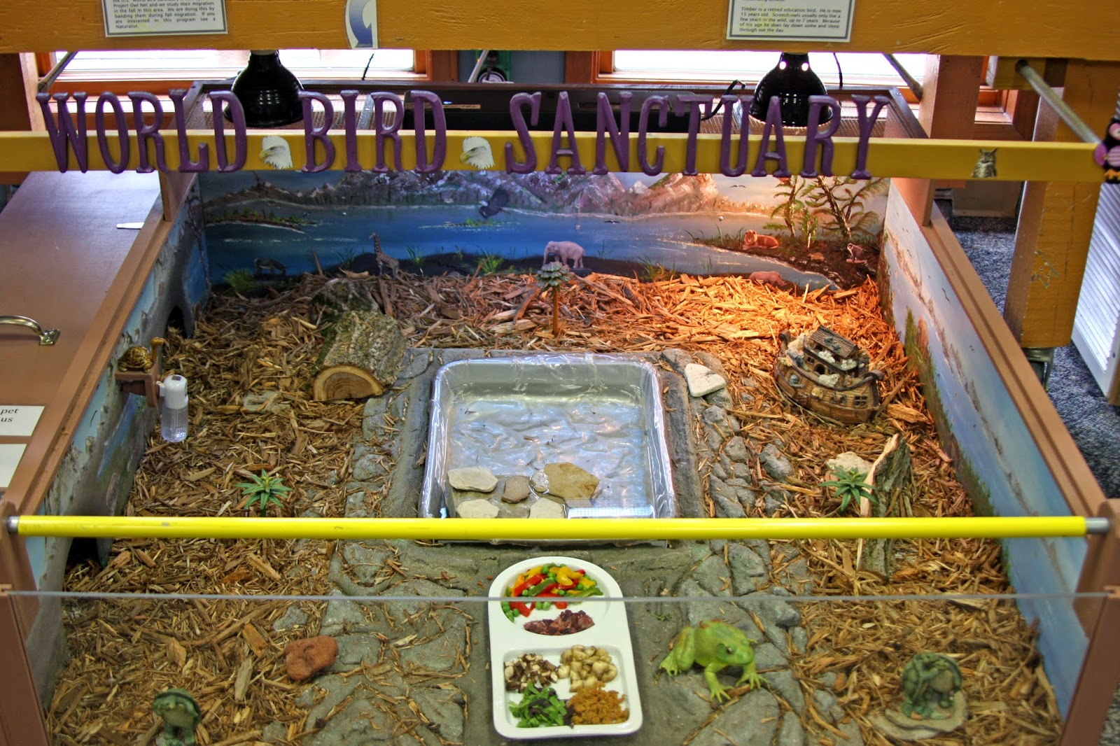 World Bird Sanctuary: New Box Turtle Exhibit