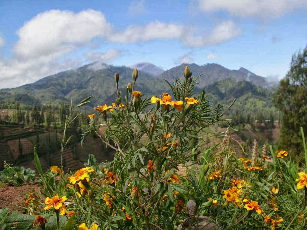 Ke Semeru dan Bromo Naik Motor - Santri Dan Alam