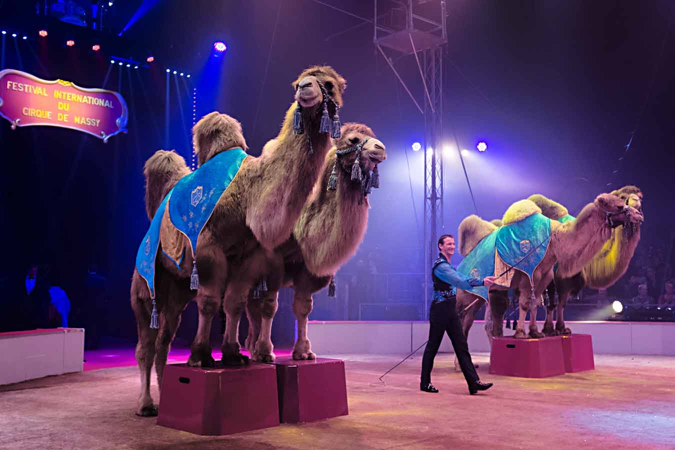 circus: John CAPLOT (photos de Didier Houisse)