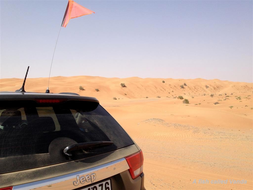 Life in Dubai: 7 colours of sand in the Emirates