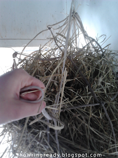 Show Ring Ready: How to Hang a Hay Net