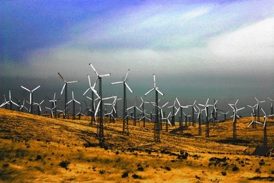 The Trip of a Lifetime: Renewable Energy- Altamont Pass Wind Farm ...
