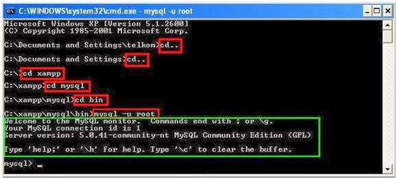 Membuat Database Dengan Perintah DDL dan DML Menggunakan XAMPP