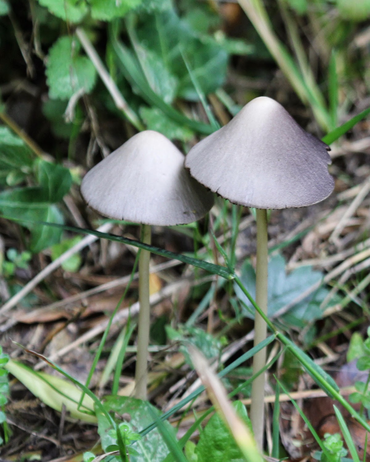 A Year Around Four Marks: 22nd September - Grey Skies, No Rain In My Eyes