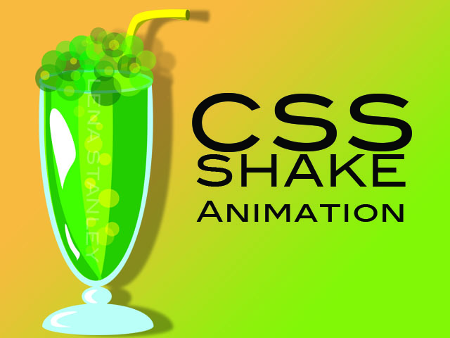Css Shake Animation